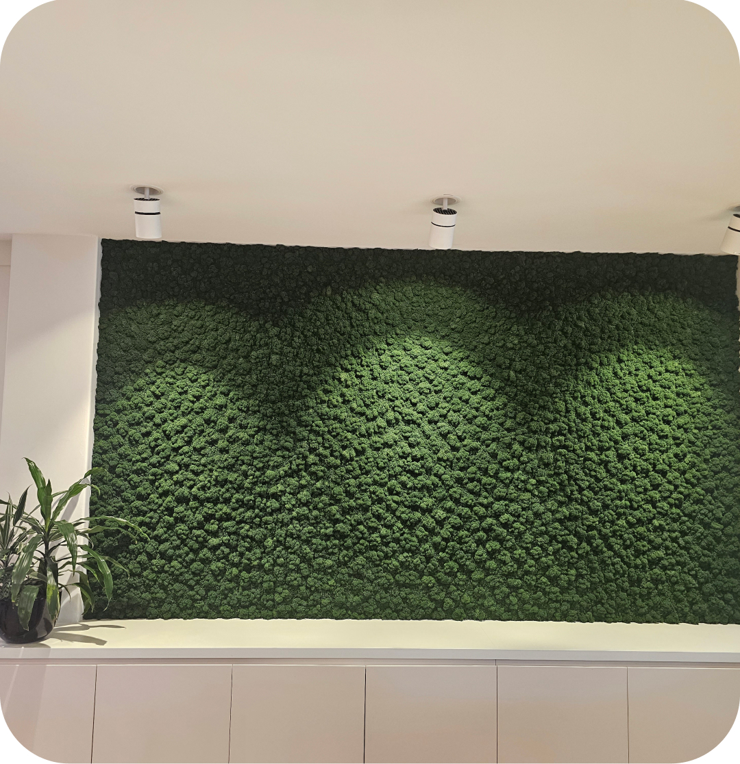 Moss Wall – Vista Concepts | Elevate Your Space with Indoor Moss Walls